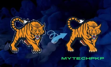 Do Manual Vector Tracing Edit Redraw Modify Color Change Customization By Mytechpkp Fiverr