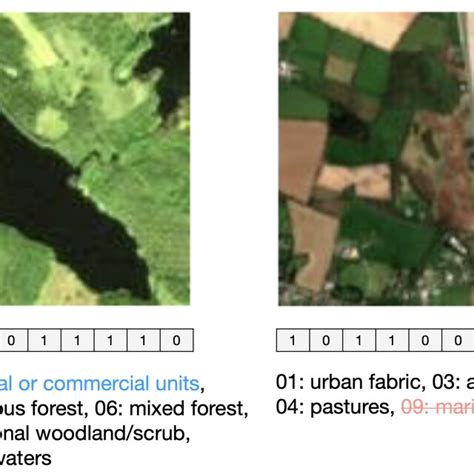Example Of Multi Label Noise In An Rs Image Left Additive Noise The