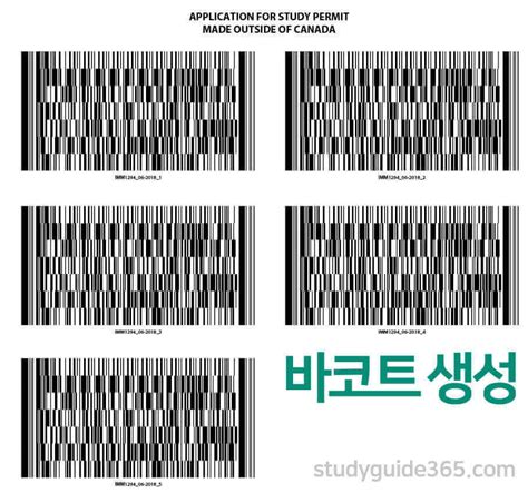 캐나다 학생비자 신청서 Imm1294 작성방법 유학가이드365