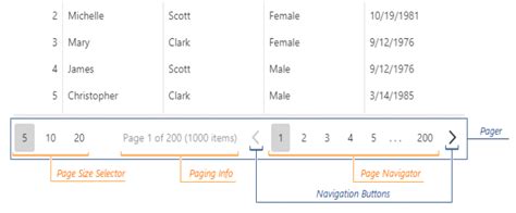 how to apply custom pagination using devextreme