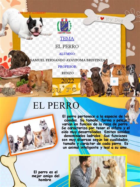 El Perro Pdf
