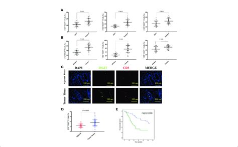 Upregulated Tigit Expression In Patients With Colorectal Cancer Download Scientific Diagram