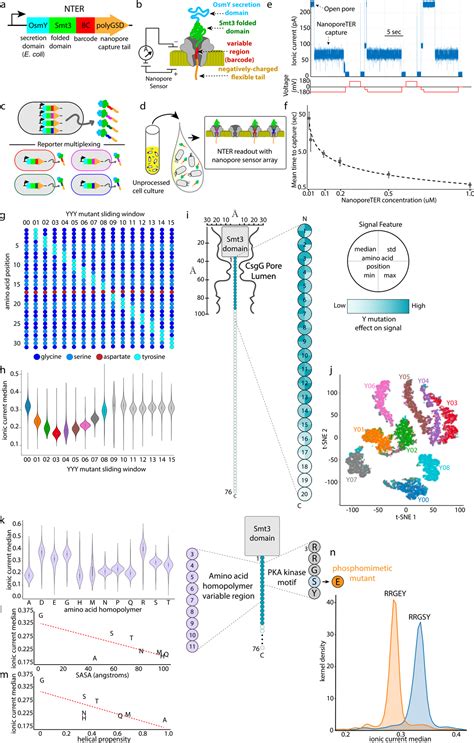 Multiplexed Direct Detection Of Barcoded Protein Reporters On A Nanopore Array Abstract