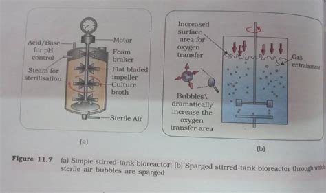 Abfigure 117 A Simple Stirred Tank Bioreactor B Sparged Stirr