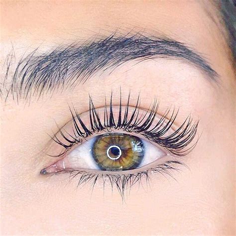 Lash Lift Aftercare Instructions Full Day By Day Overview