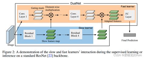 Raki的读paper小记：dualnet Continual Learning Fast And Slow Csdn博客