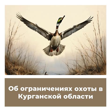 Геопортал охотничьих угодий России Карта охотника