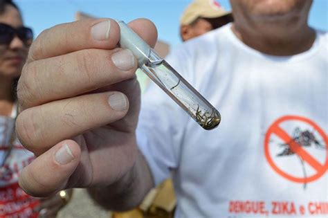 Sesapi Inicia Ações De Reforço No Combate à Dengue Em Bom Jesus Bom