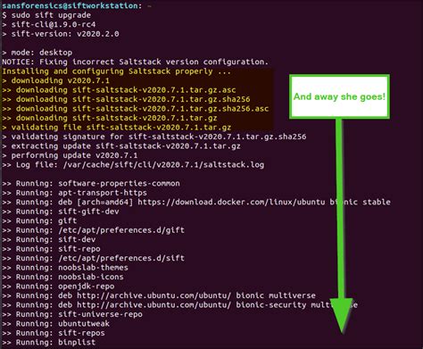 Installing Sift Using Cli Tool 18045 Fails · Issue 487 · Teamdfir