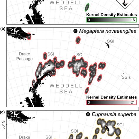 Spatial Distribution According To The Kernel Density Estimation