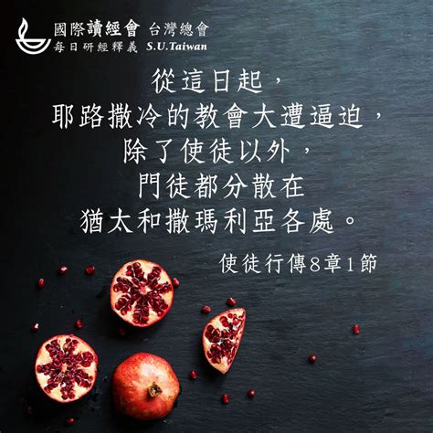 讀經大聯盟2024年5月1日 週三 使徒行傳 81 24 國際讀經會台灣總會