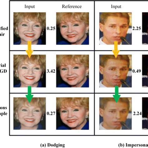 Adversarial Examples And Perturbations Alleviated Examples Of Dodging Download Scientific