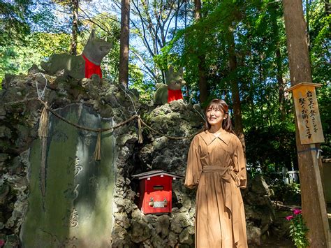豊川稲荷（豊川閣妙厳寺） 愛知県観光協会の公式サイト【あいち観光ナビ】