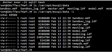 Stairway To Database Containers Level 2 Persisting Storage In