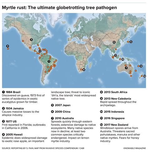 Why Tree Killing Epidemics Are On The Rise