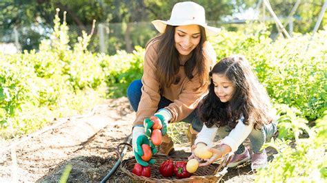 Tips For First Time Gardeners