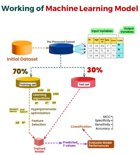 Farshid Shirafkan On Linkedin طبقه بندی Classification