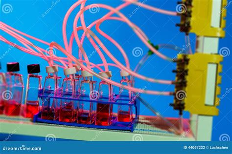 Microfluidic Devices For Stem Cell Cultivation Proliferation Stock