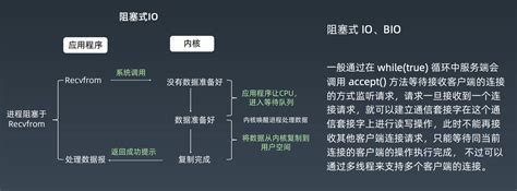 Reactor模型 Cczywyc