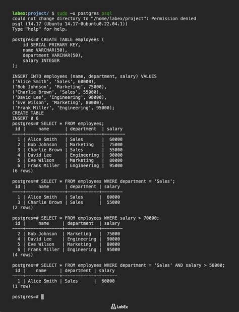 postgresql 数据过滤和简单查询 where like order by labex