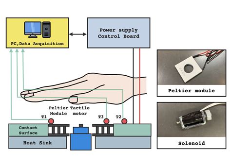 Schematic Illustration Of The Experimental Set Up With The Peltier