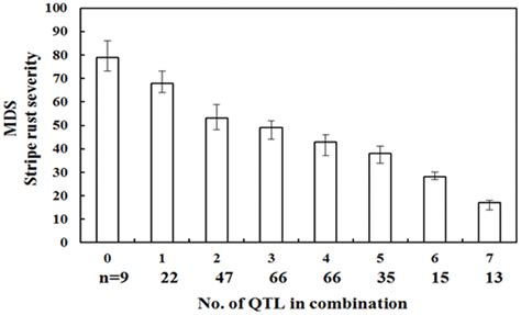 The Effects Of Qtl Combinations On Stripe Rust Severity Among Different