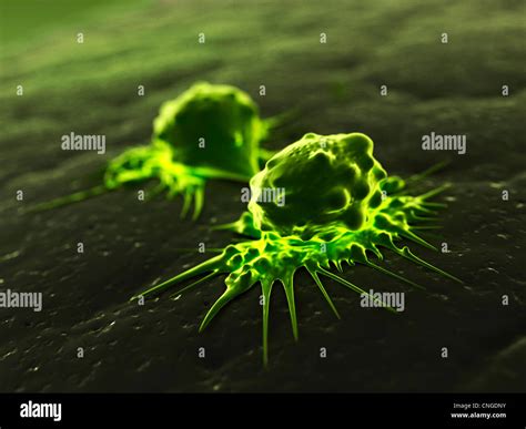 Cancer Cells Dividing Artwork Stock Photo Alamy