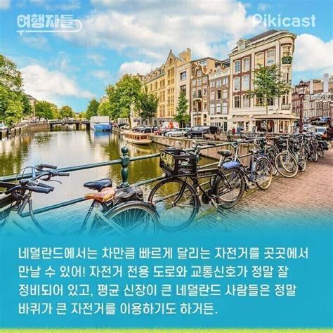 네덜란드 문화충격 인스티즈 Instiz 인티포털