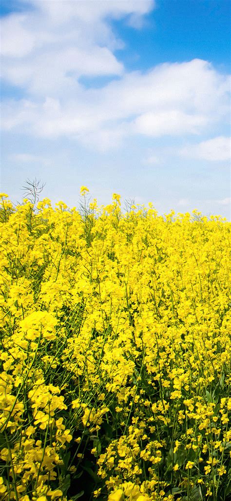 摄影（风景 山水 建筑）