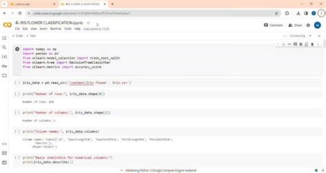 Nandhana T S On Linkedin Cipherbyte Technologies Iris Flower Classification Internship Project