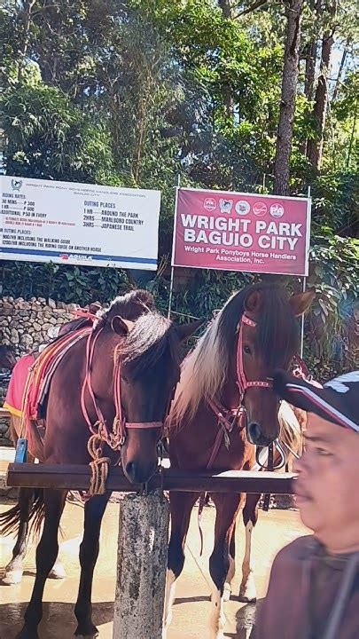Wright Park Baguio City Horses - YouTube