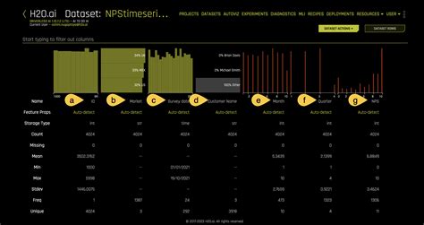 Task Explore Datasets H O Driverless Ai Tutorials