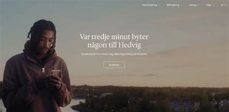 Hedvig Försäkring Omdöme And Erbjudande 2023 Tryggvi