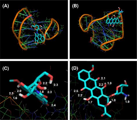 The Schematic Diagram Of Molecular Docking Studies Interaction Of A