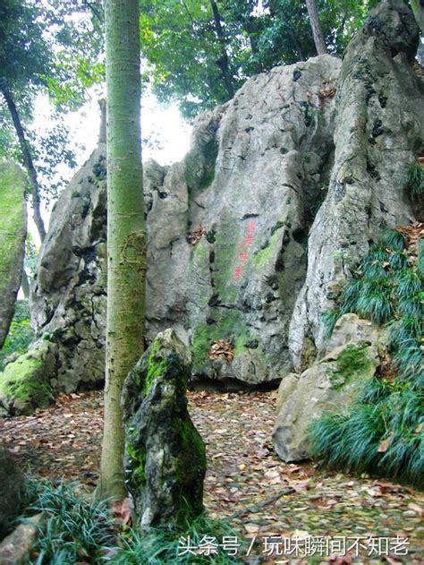 杭州西湖國賓館G20峰會的重要場所 毛澤東讀書處 每日頭條