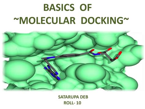 Molecular Docking Basics Principles And Applications