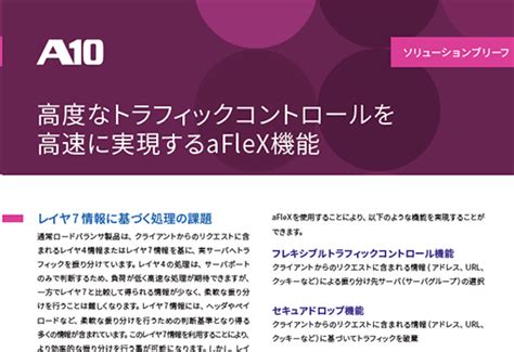 高度なトラフィックコントロールを高速に実現するaflex 機能 ソリューション資料 リソース A10ネットワークス アプリケーション配信｜プロキシ｜ssl可視化｜ddos対策