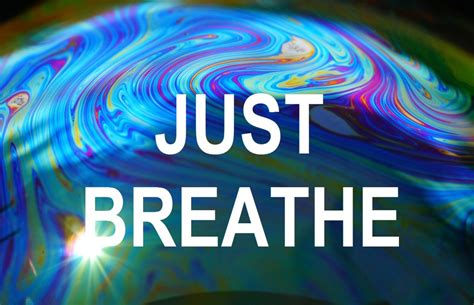 Blow Away Your Stress Quitterswin
