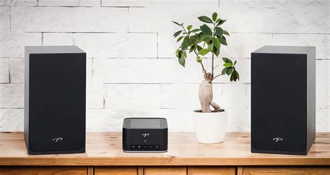 Paradigm Monitor Se Series Speakers Review
