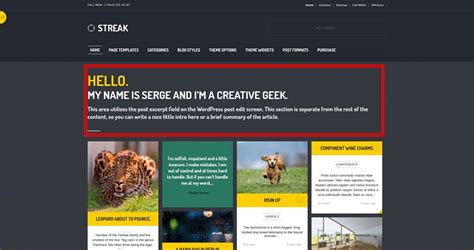 Css Display Static Block In Isotope Masonry Jquery Plugin Stack