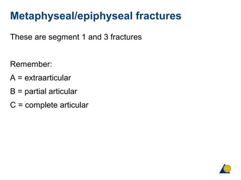 Ao Classification Ppt