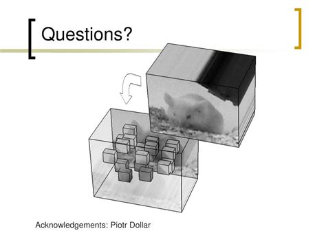 Ppt Behavior Recognition Via Sparse Spatio Temporal Features