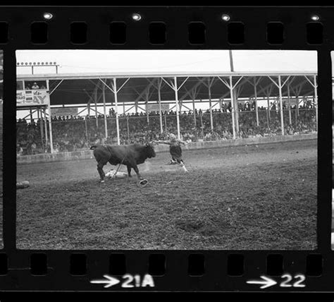 Rodeo Clowns Bull Fighting Digital Collections At Dickinson Research