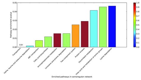 The Enriched Pathways Within The Osmoregulation Model Of Wh8102 Download Scientific Diagram