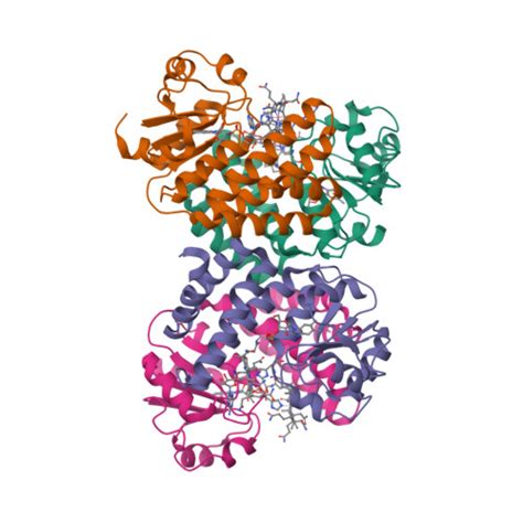 Rcsb Pdb 8c32 Dark State 22 Angstrom Crystal Structure Of Cobalamin