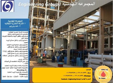 abdo mohamed el ghamry posted on linkedin