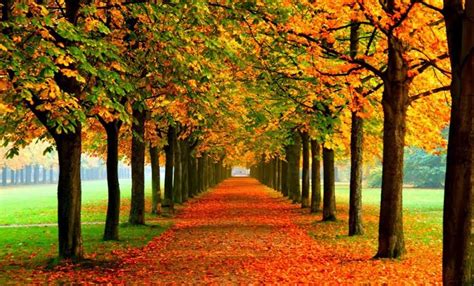 Wallpaper Pemandangan Korea Selatan Andira Gambar
