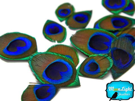Natural Peacock Tail And Eye Feathers Dyed Peacock Feathers