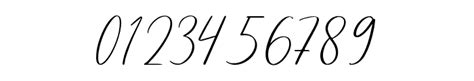 Tanesha Regular Font Script Elegant What Font Is