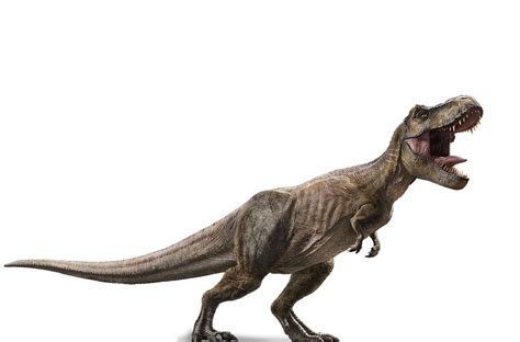 Jurassic Park Png Hd Image Png All